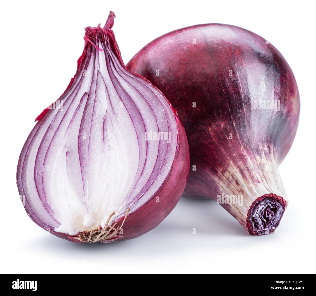 Red onion bulb and onion cross section on the white background Stock ...