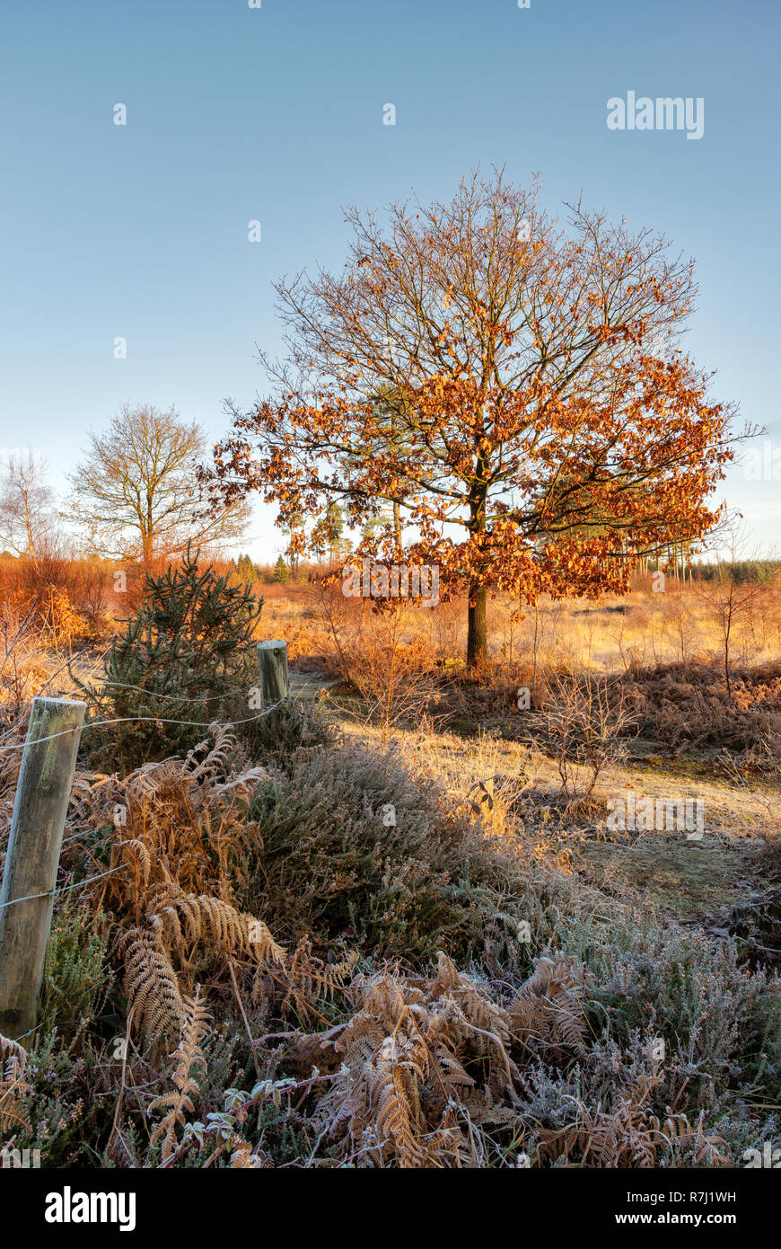 Wales nature reserve hi-res stock photography and images - Alamy