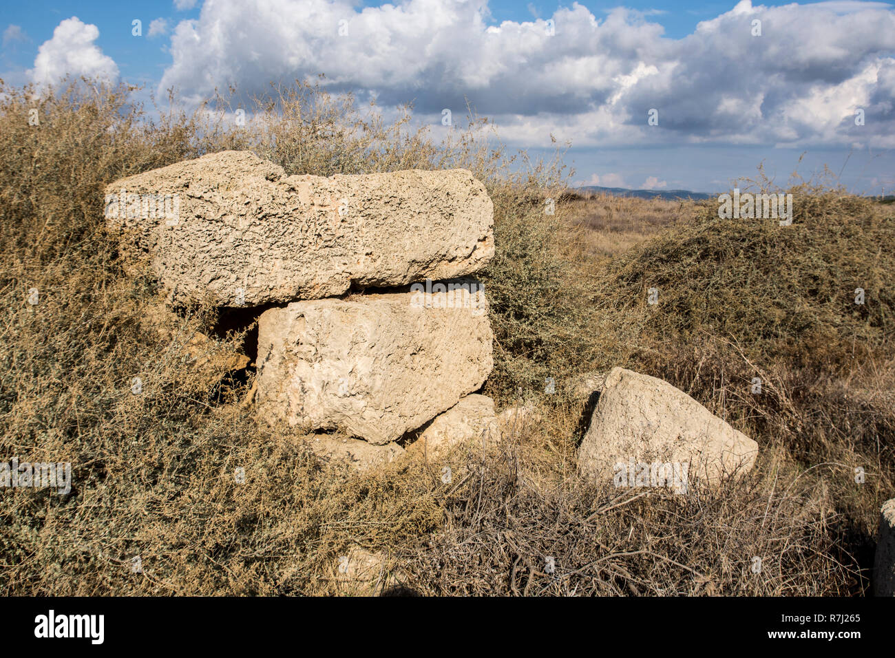 Tel Dor (Khirbet el-Burj), is an archeological site located on Israel's ...