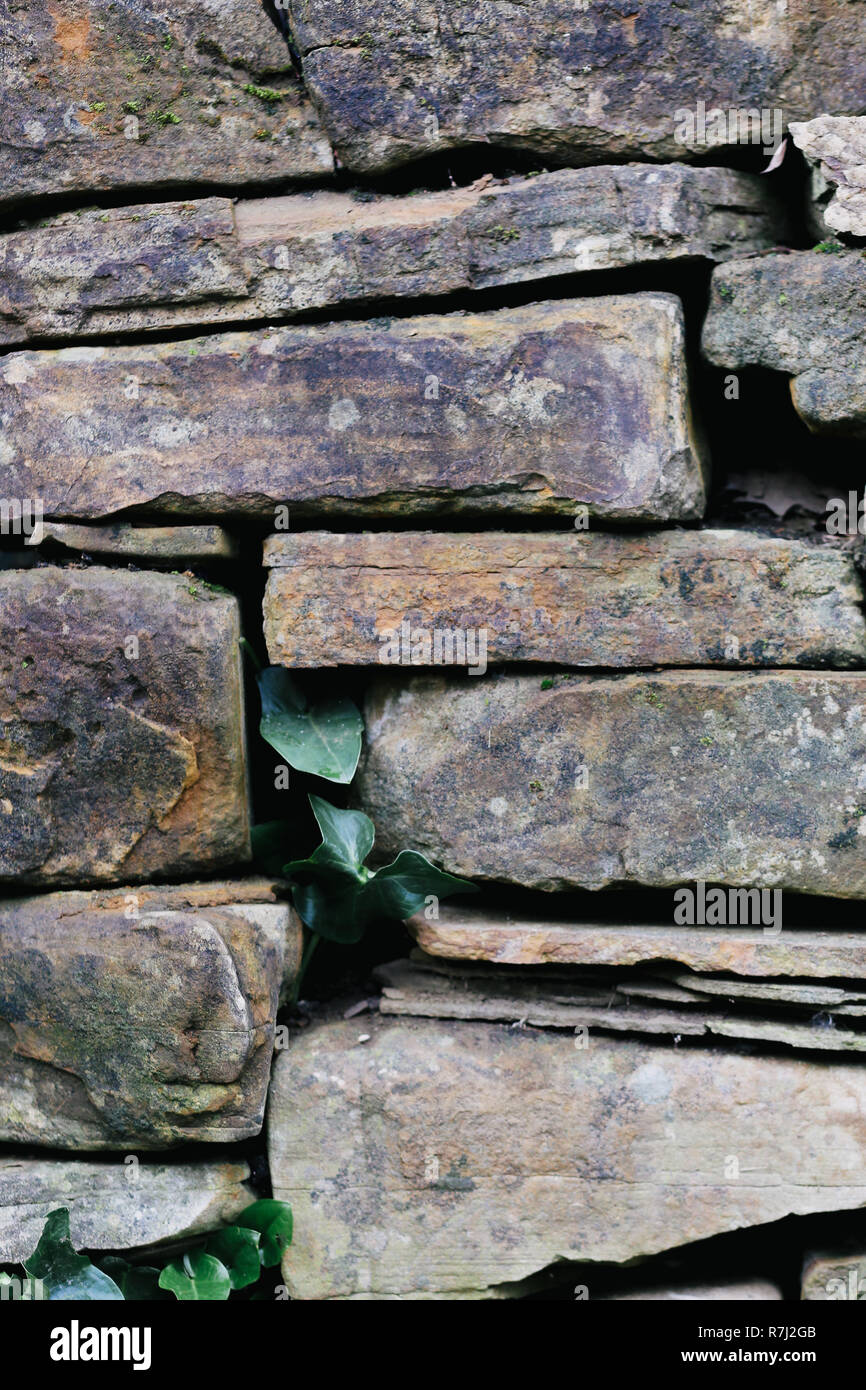 the texture of gray stone masonry wall Stock Photo - Alamy