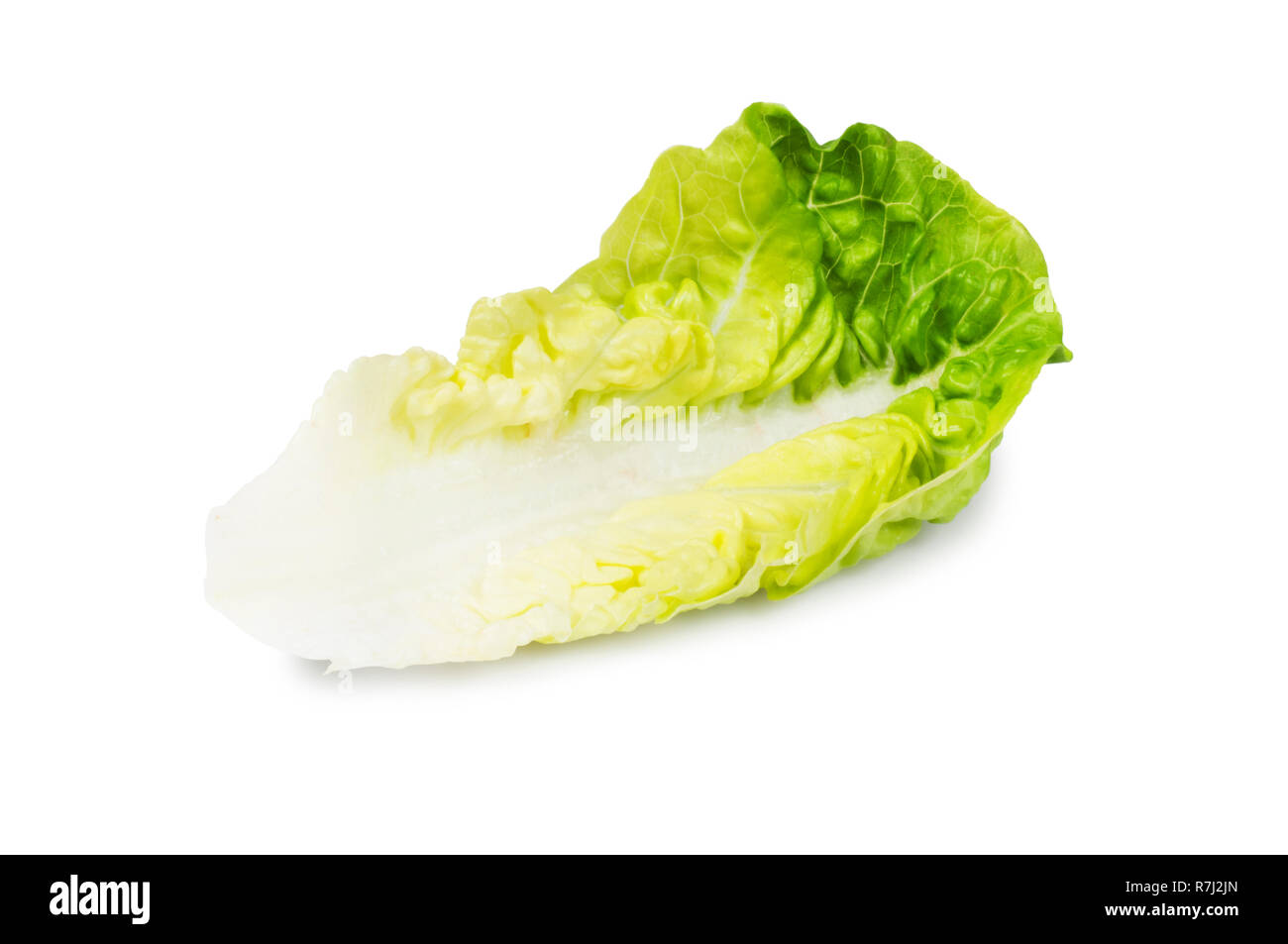 Lettuce leaves white background studio hi-res stock photography and ...