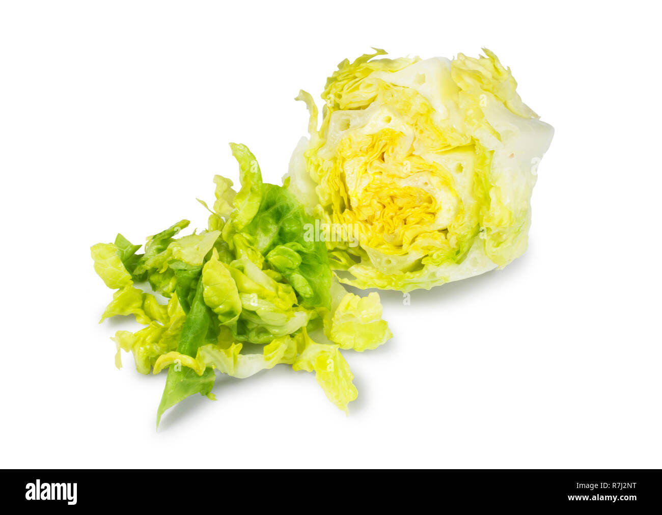 Studio shot of shredded lettuce leaves isolated on a white background ...