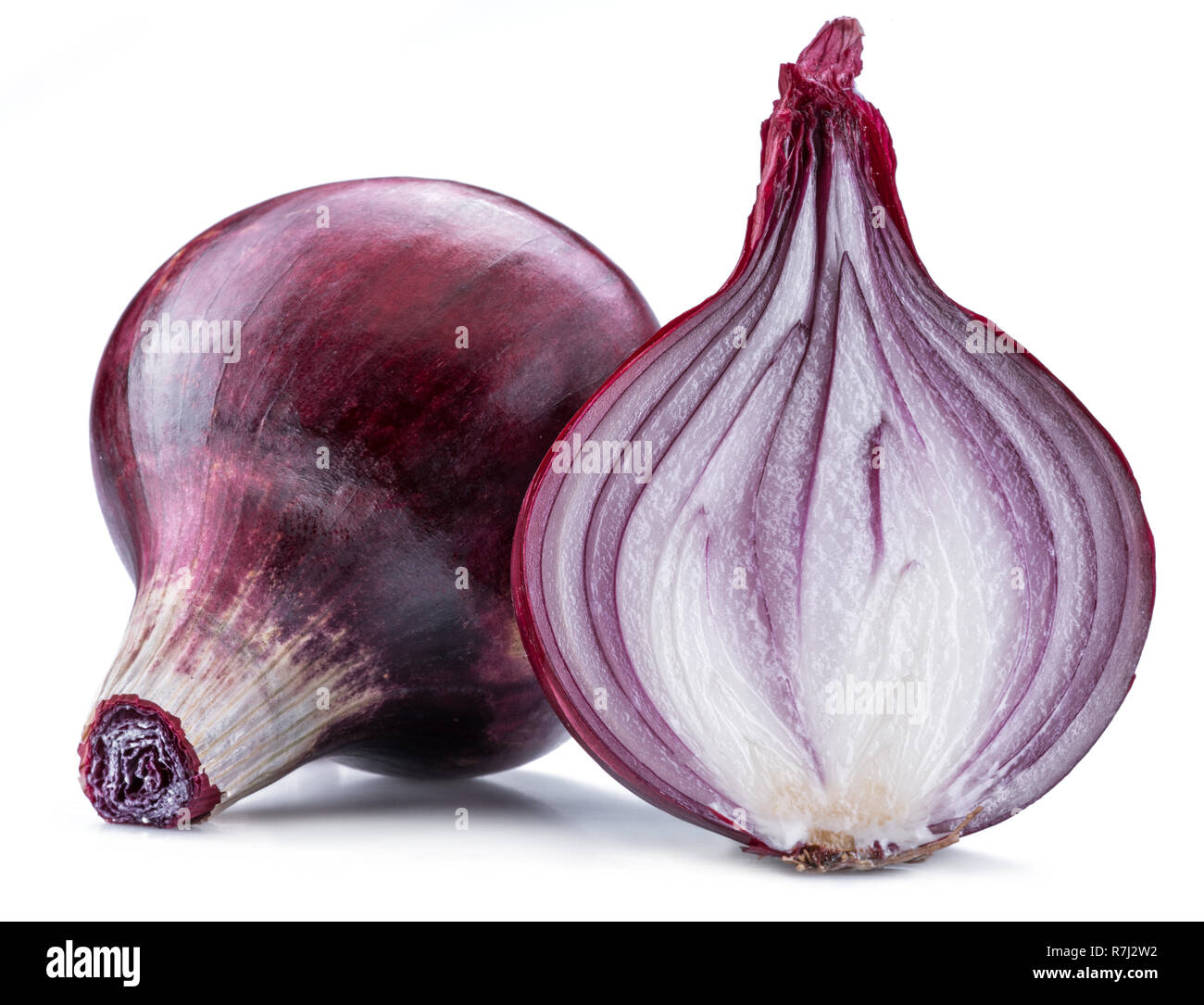 Red onion bulb and cross section of onion on white background Stock ...
