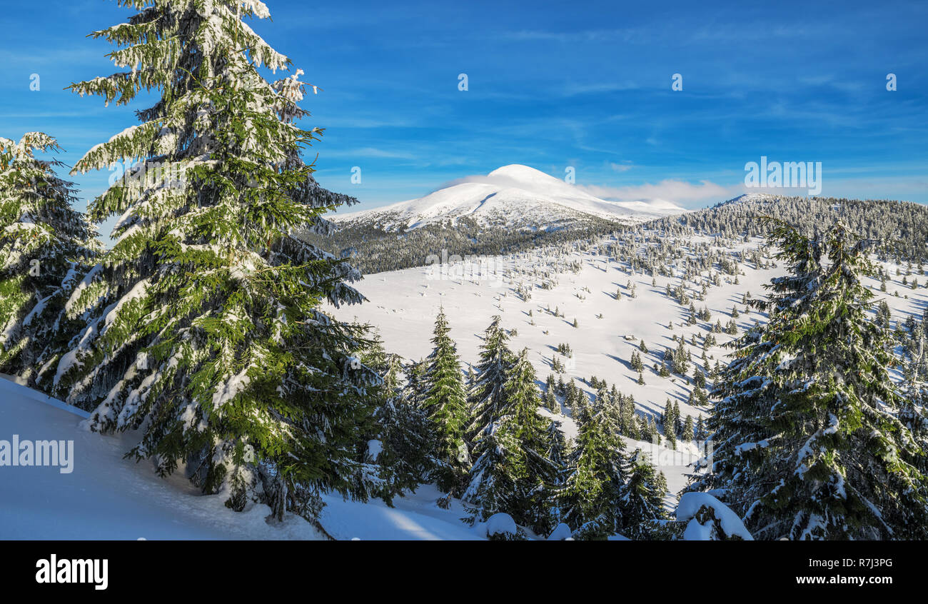 Mount Goverla, Ukraine. Beautiful winter landscape in the mountains ...