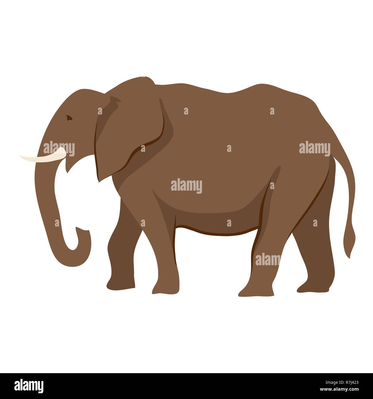 Elephant tropical zoo Cut Out Stock Images & Pictures - Alamy