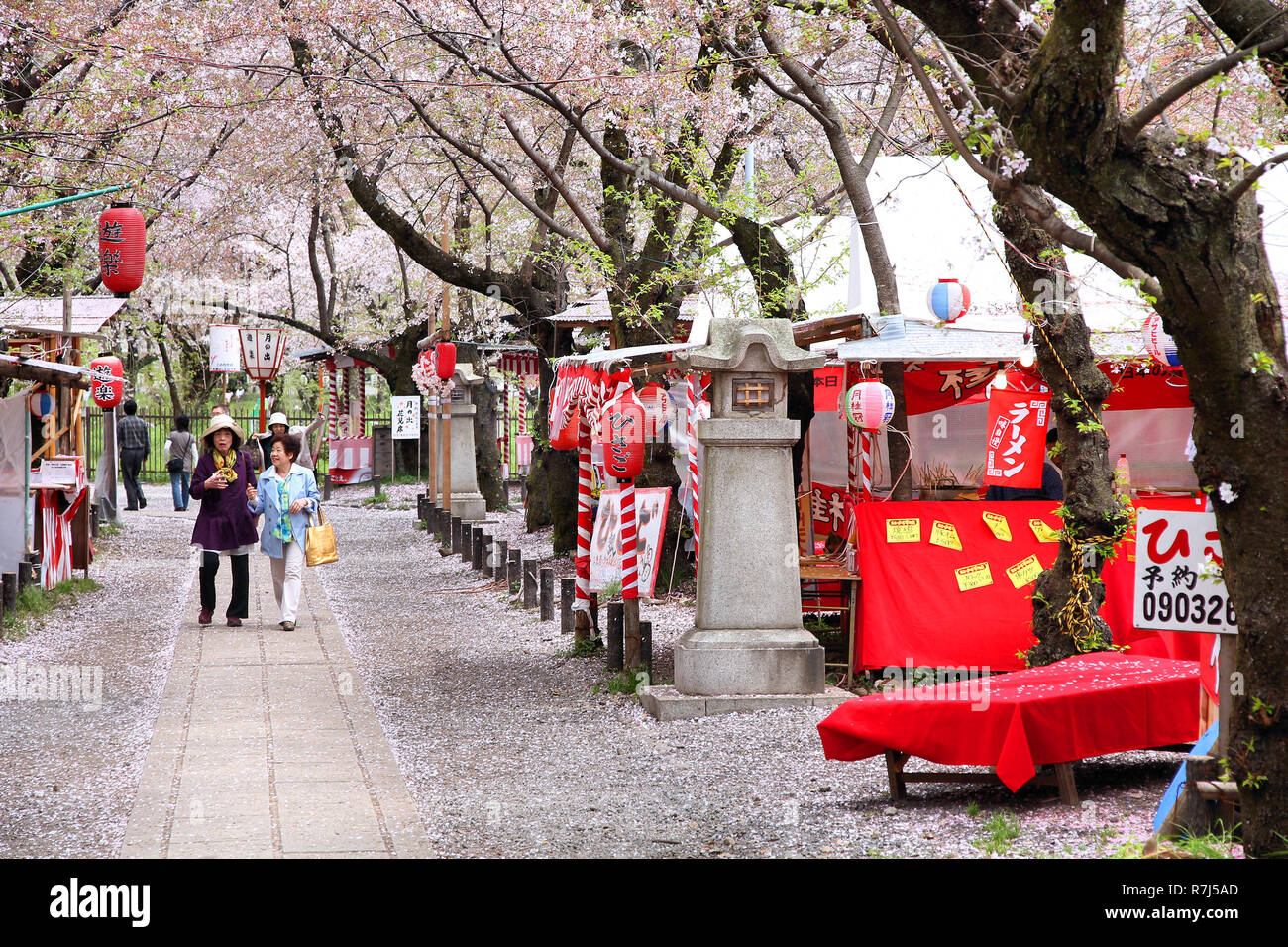 KYOTO, JAPAN - APRIL 17: Visitors enjoy cherry blossom (sakura) on ...