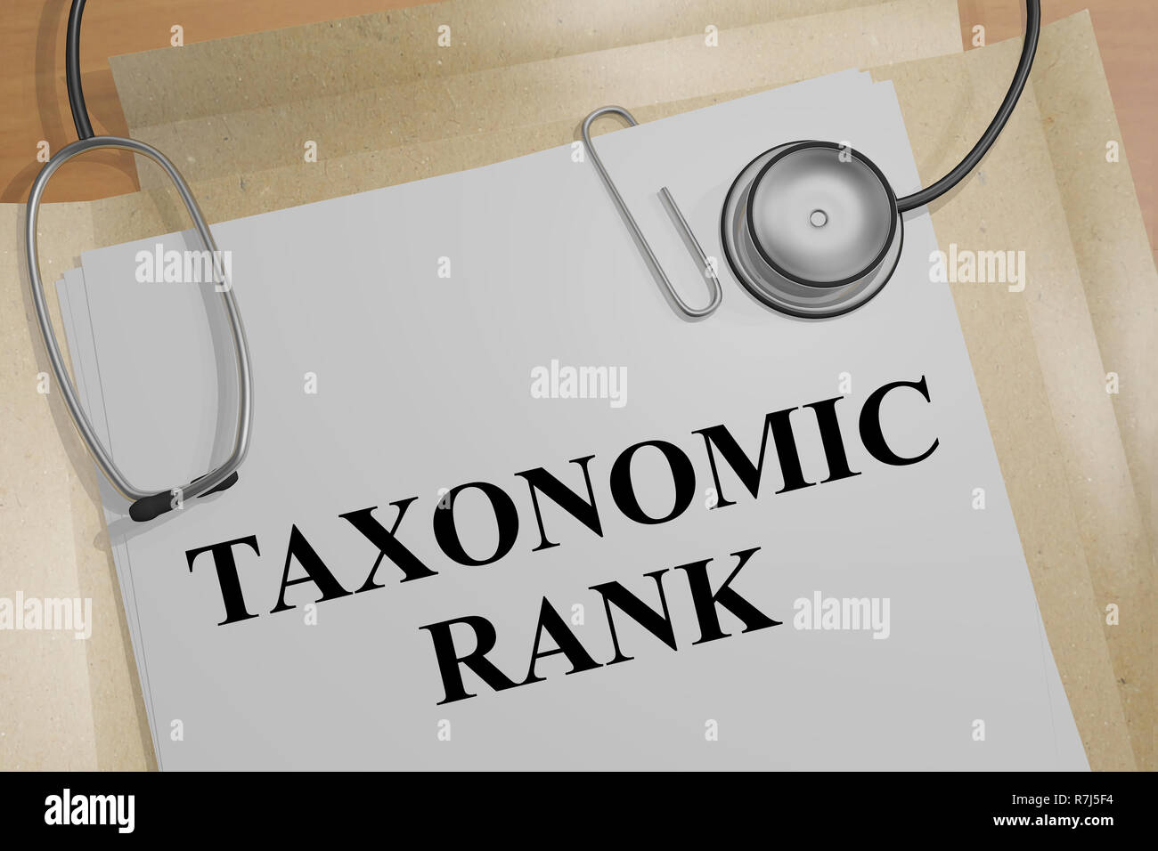3D illustration of TAXONOMIC RANK title on a medical document Stock ...
