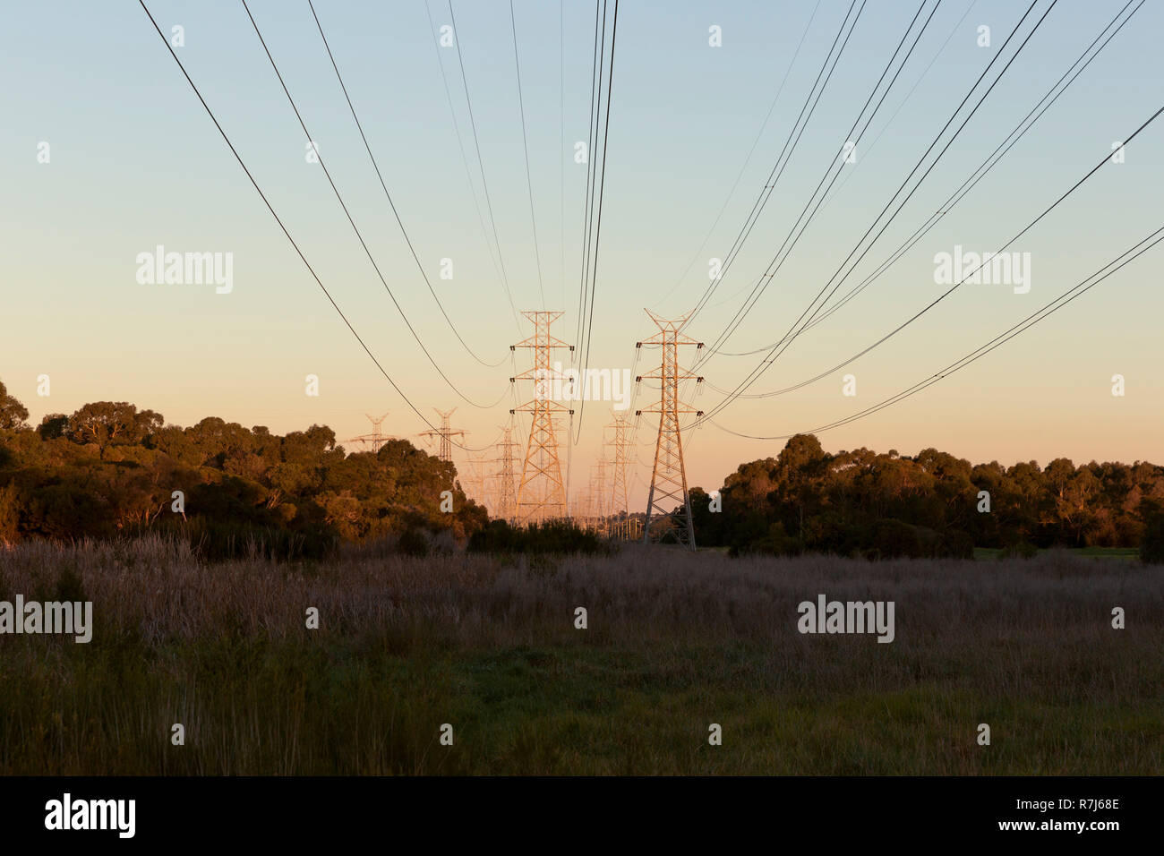 Power lines hanging above nature at dusk Stock Photo - Alamy