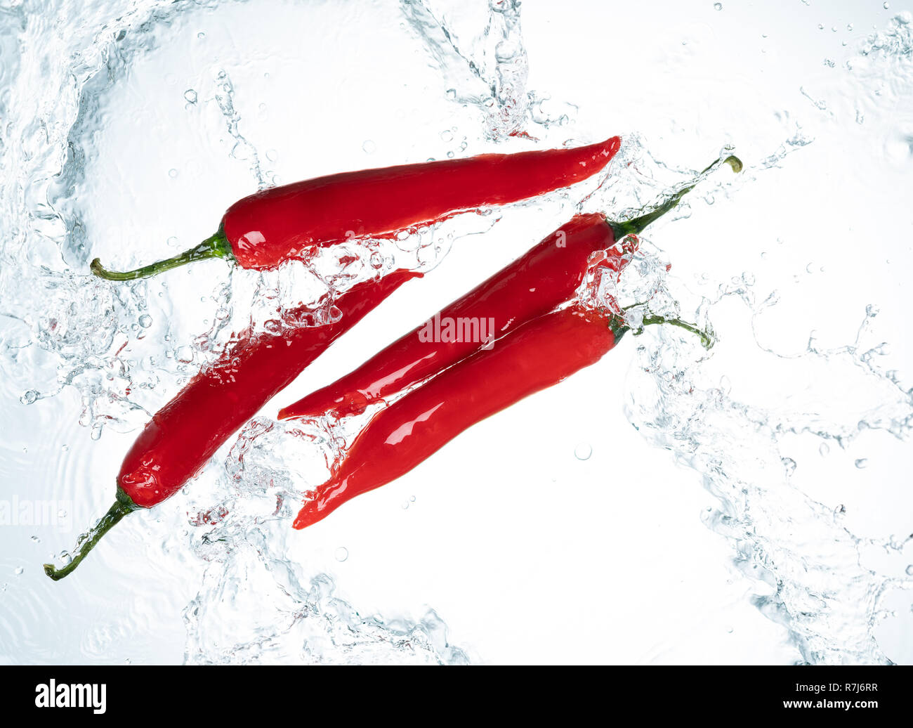 Red Chili Peppers Water Splash on White Background Stock Photo - Alamy