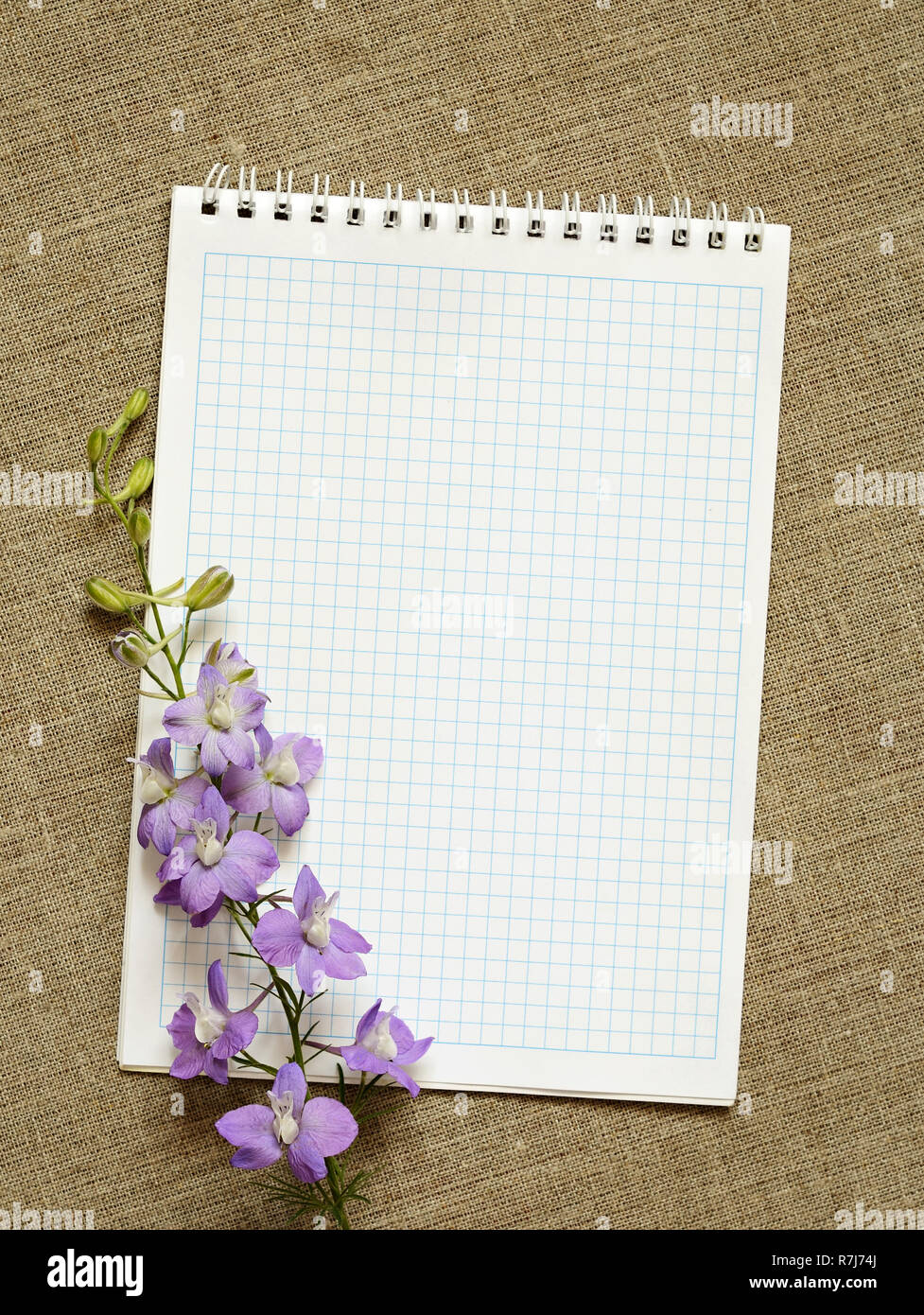 Diary floral card hi-res stock photography and images - Alamy