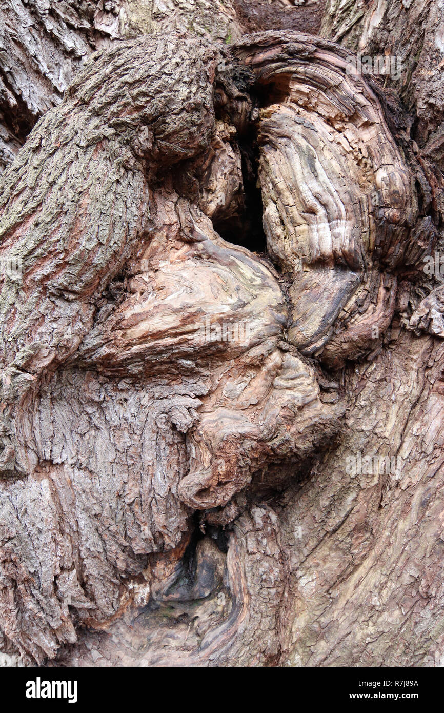 Bizarre bizarre bizarre bizarre bizarre hi-res stock photography and ...