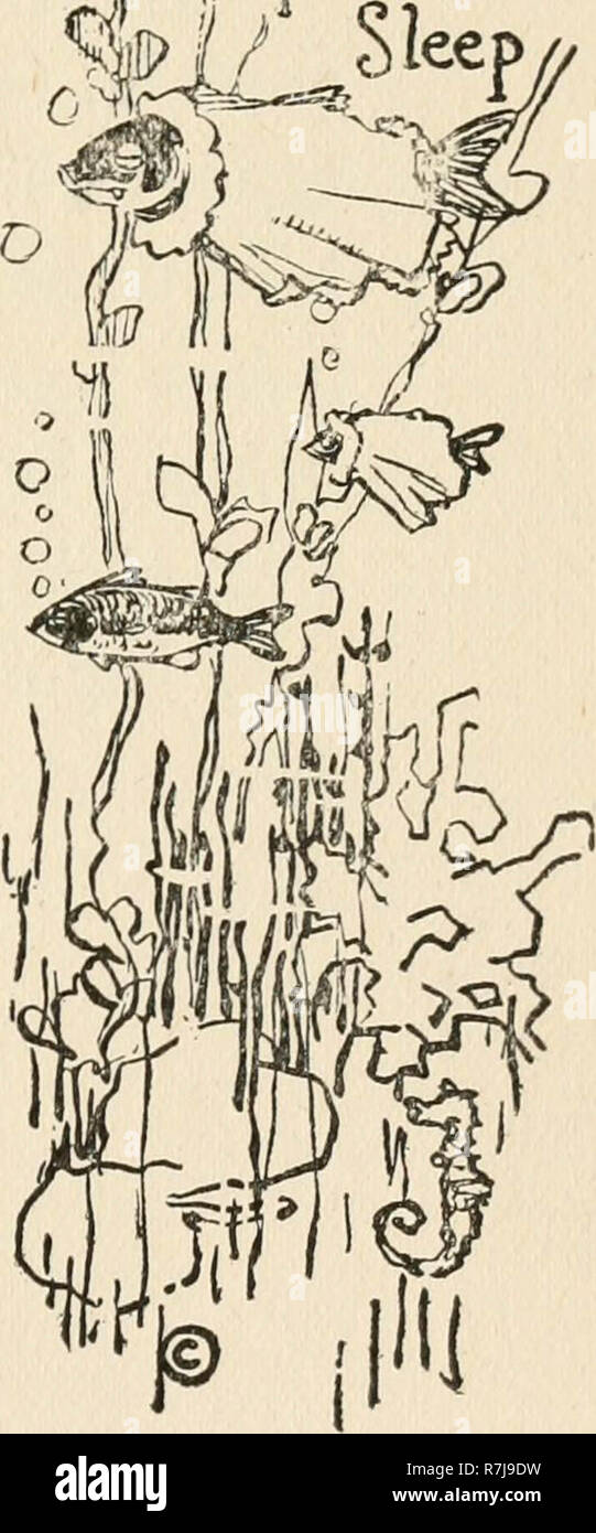 Gee whiz hi-res stock photography and images - Alamy