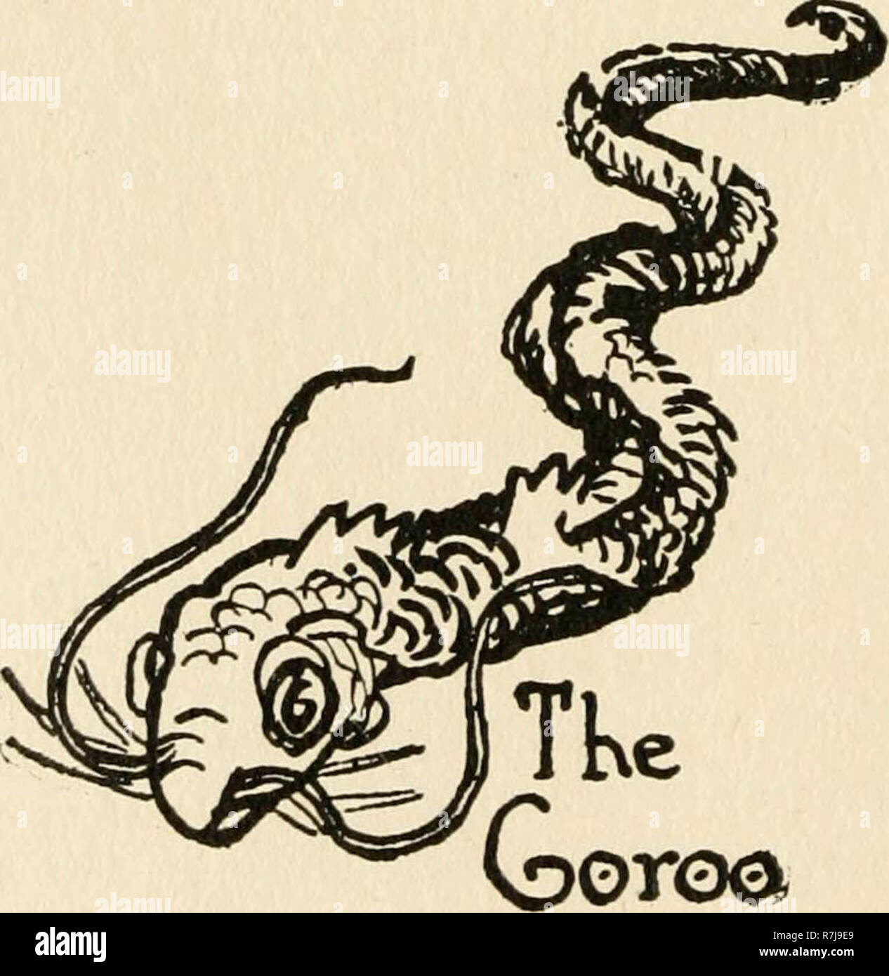 Gee Whiz High Resolution Stock Photography and Images - Alamy