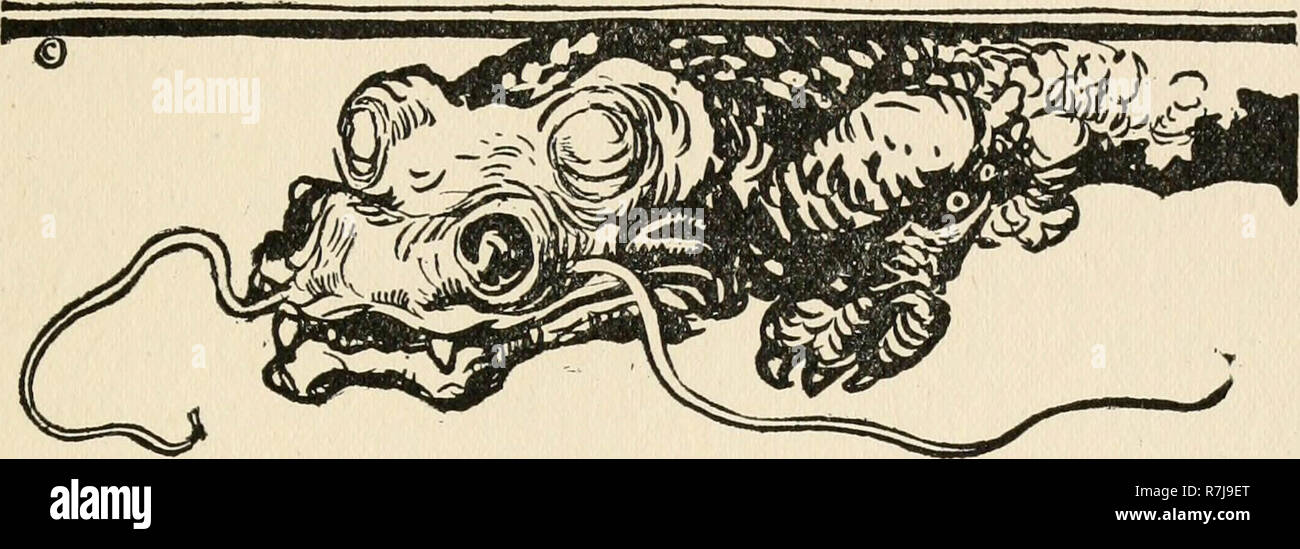 Gee whiz hi-res stock photography and images - Alamy