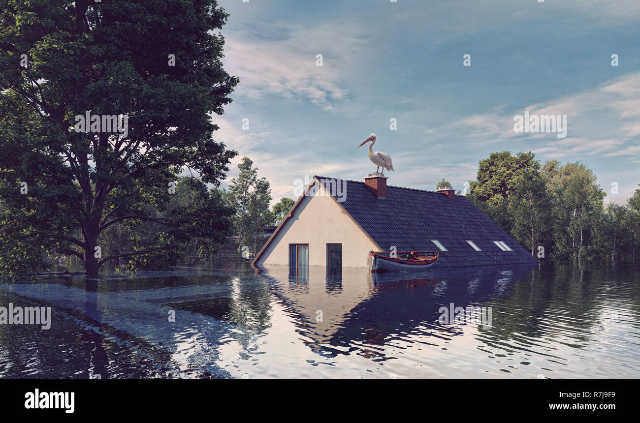 The house and the tree flooding the water. 3d rendering concept Stock ...