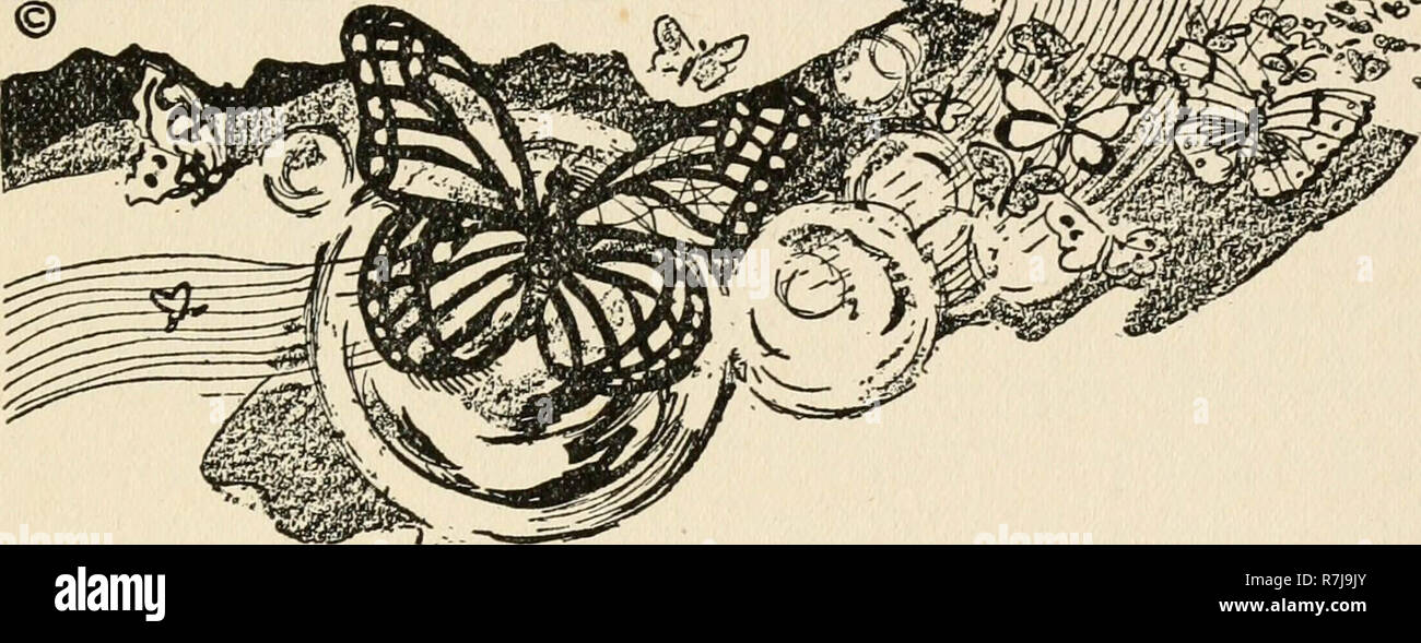 Gee whiz hi-res stock photography and images - Alamy