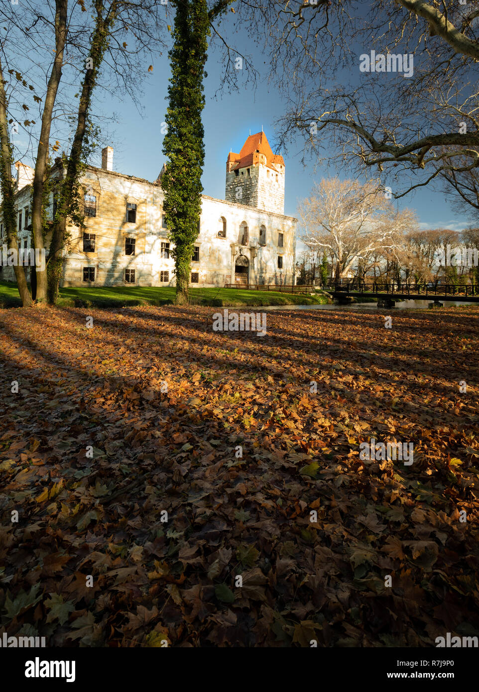 Pottendorf palace hi-res stock photography and images - Alamy