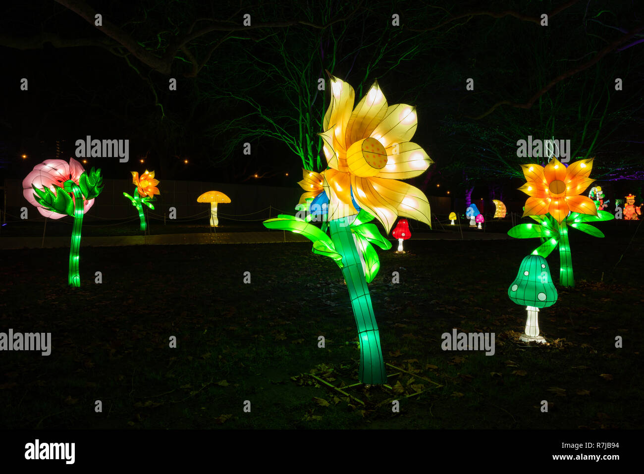 LONDON, UK - DECEMBER 09, 2018: London's new lantern festival at ...
