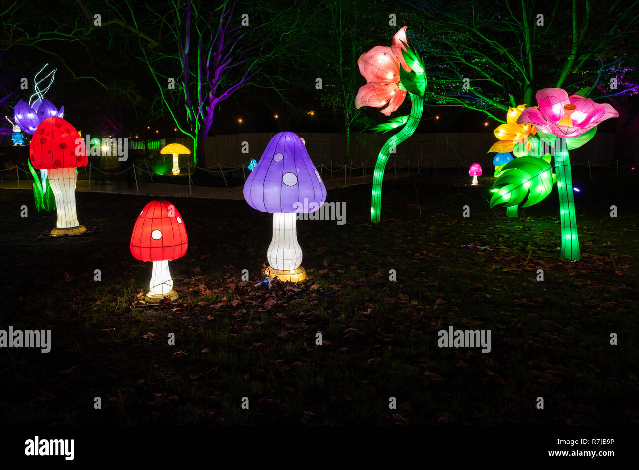 LONDON, UK - DECEMBER 09, 2018: London's new lantern festival at ...
