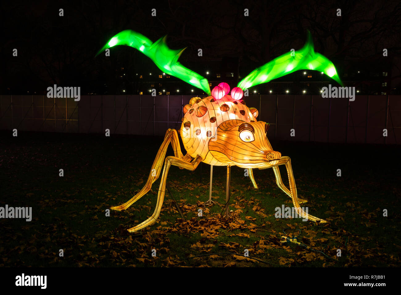 LONDON, UK - DECEMBER 09, 2018: London's new lantern festival at ...