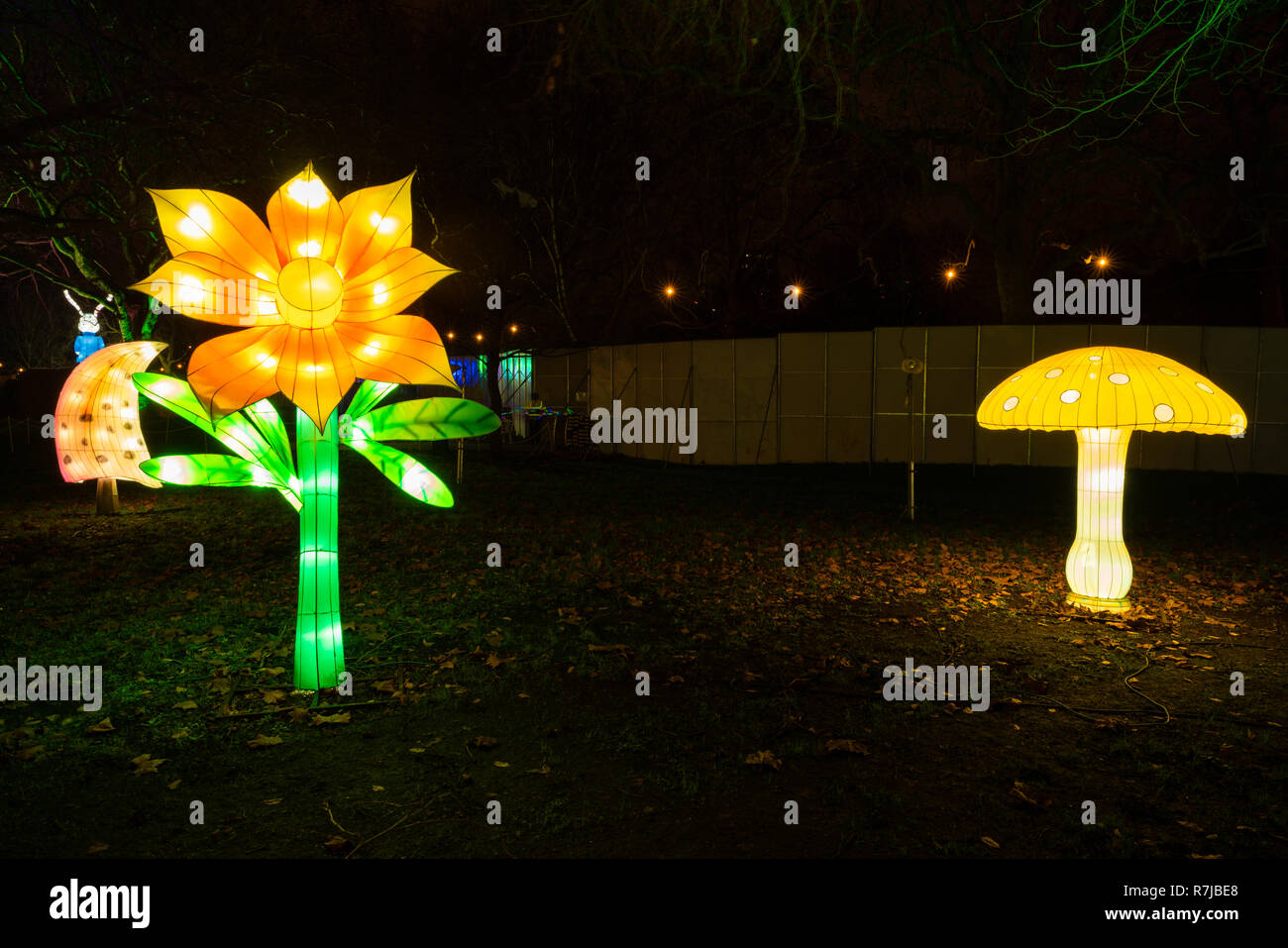 LONDON, UK - DECEMBER 09, 2018: London's new lantern festival at ...