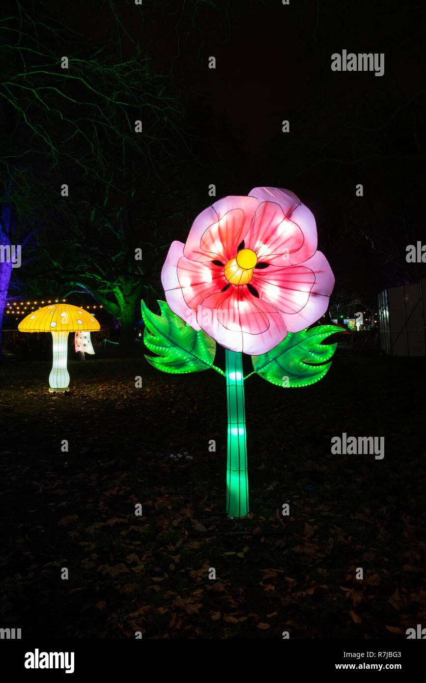 LONDON, UK - DECEMBER 09, 2018: London's new lantern festival at ...