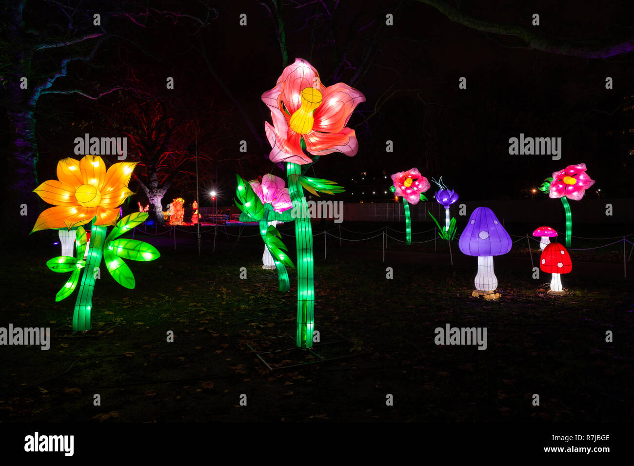 LONDON, UK - DECEMBER 09, 2018: London's new lantern festival at ...