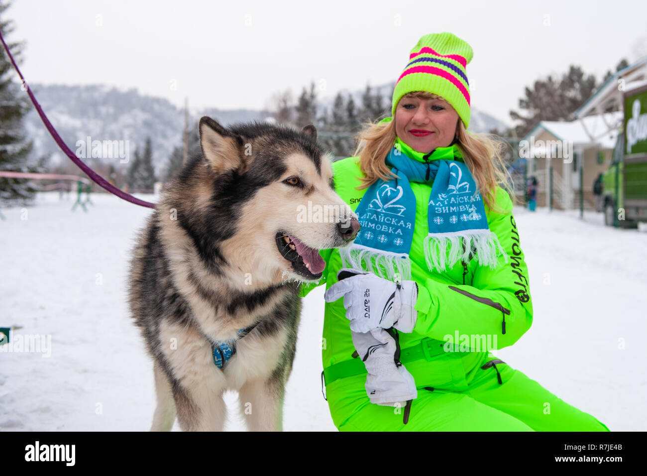 Altai dog hi-res stock photography and images - Alamy