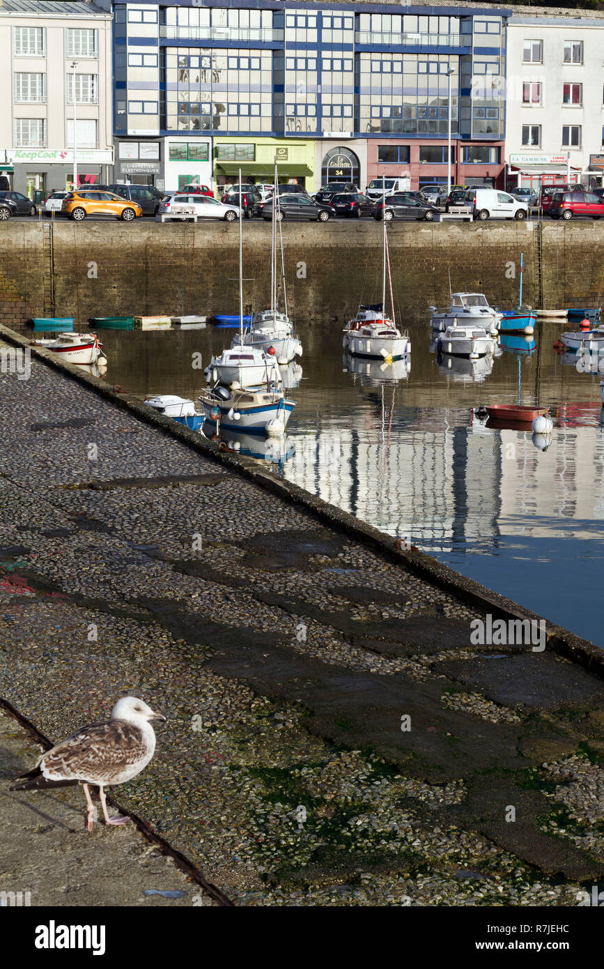 Port de Brest ,Finistère ,Brittany ,France Stock Photo - Alamy