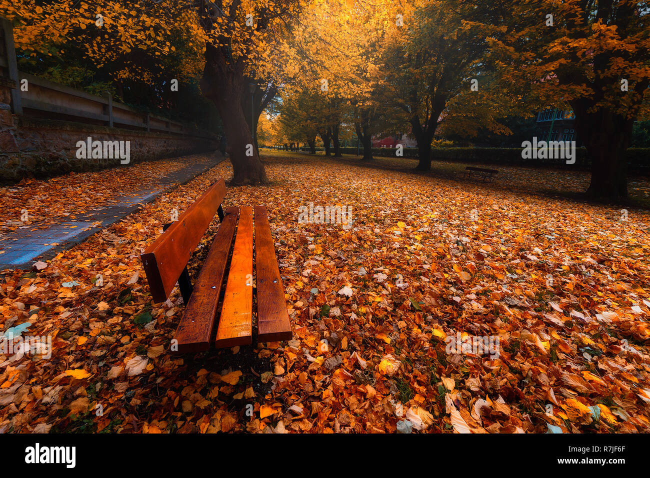 bench in park on autumn with leaves on the ground Stock Photo - Alamy