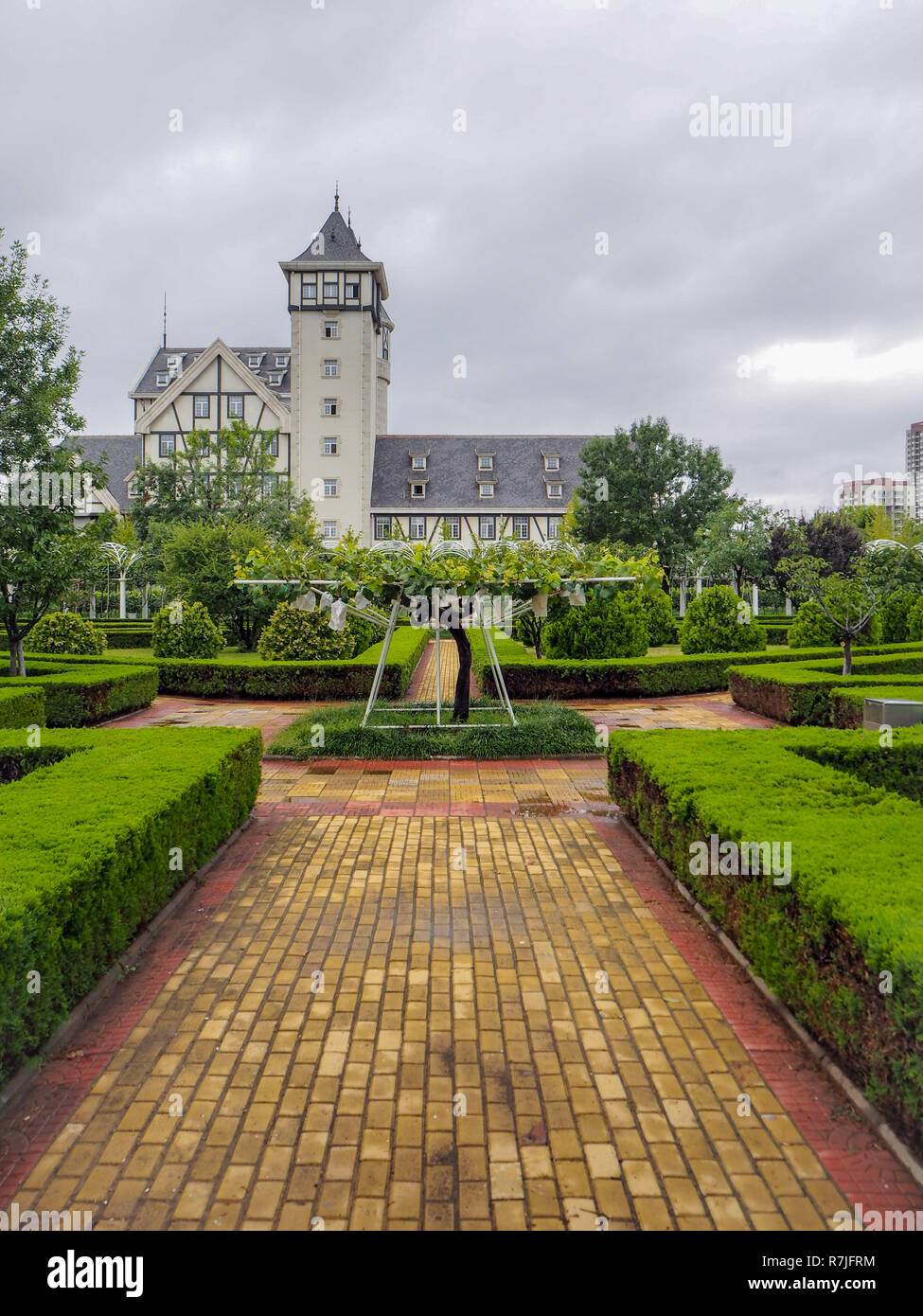 Yantai changyu wine hi-res stock photography and images - Alamy