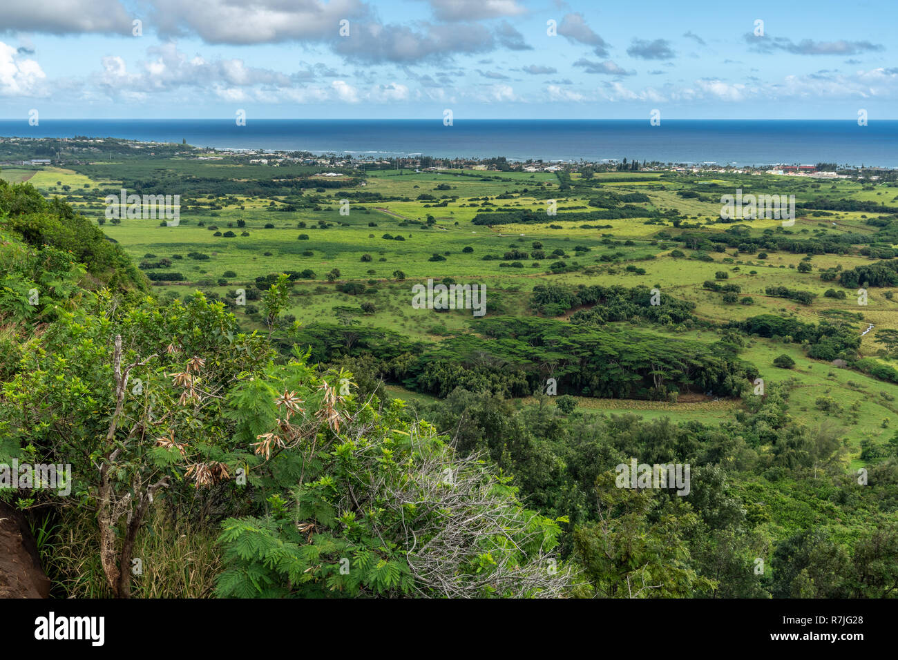 Trees, open fields and houses in a tropical setting with the ocean and ...