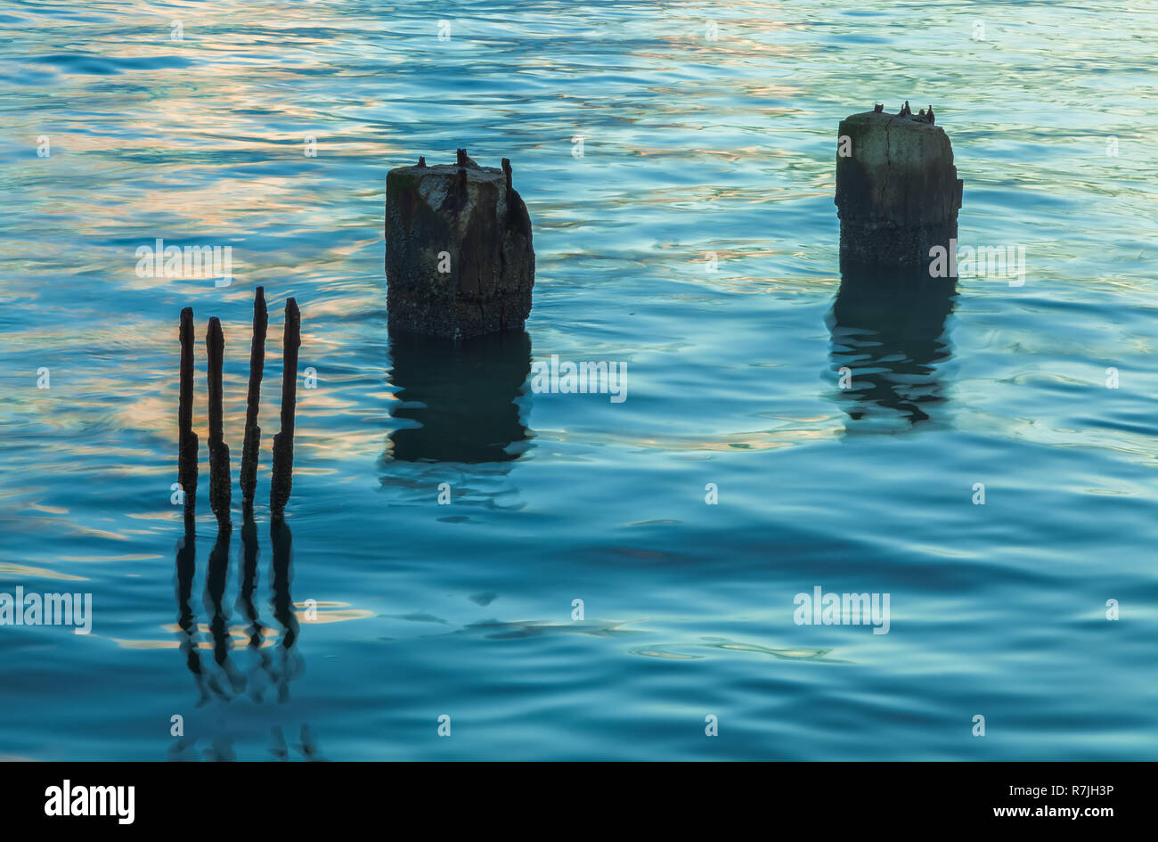 Close up at the remnant of the old concrete posts of a pier in San ...