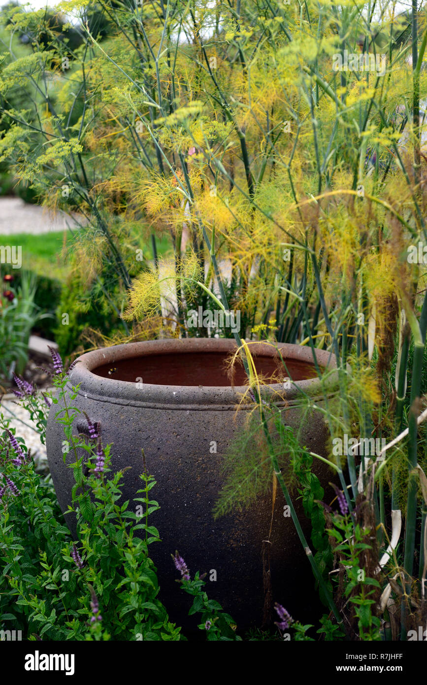 earthenware urn,urns,pot,container,garden feature,centrepiece,fennel ...