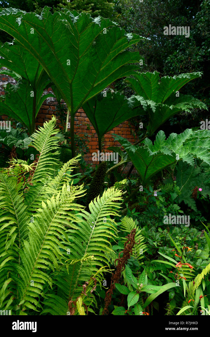 Red brick garden hi-res stock photography and images - Alamy