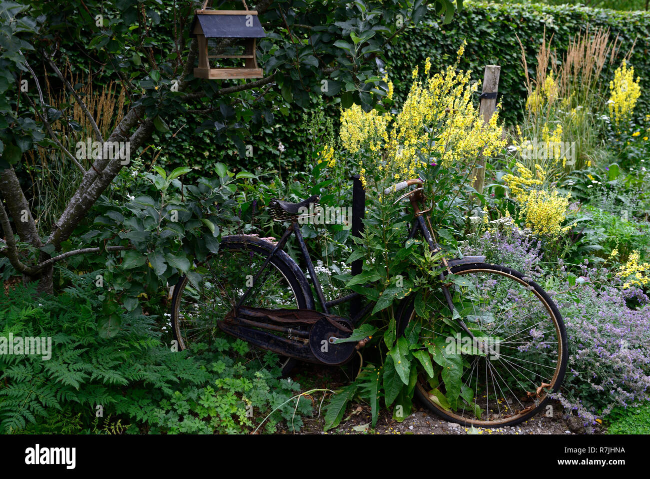 Cycle bike flower display hi-res stock photography and images - Alamy