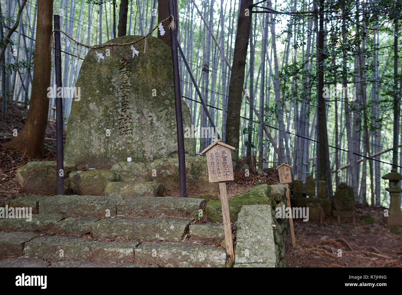 Nakahechi trail hi-res stock photography and images - Alamy