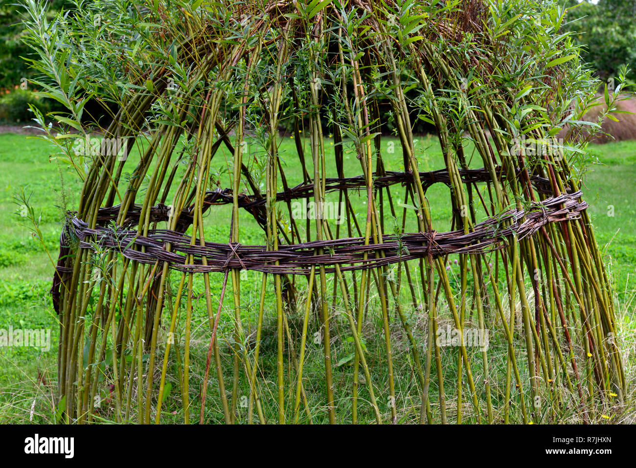 Woven living willow hi-res stock photography and images - Alamy