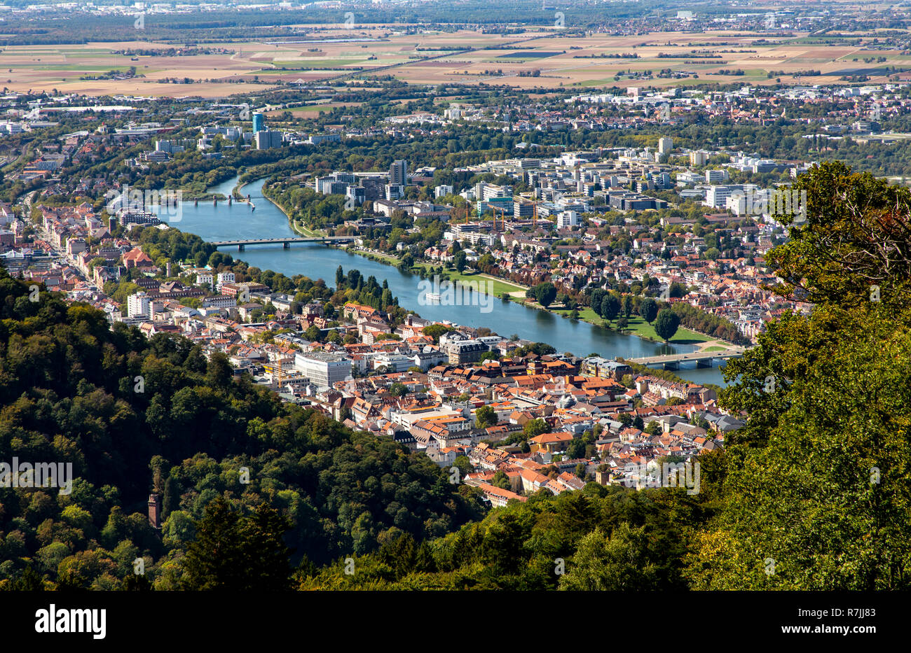 View over the old town of Heidelberg, Neckar, old Neckar bridge, behind ...