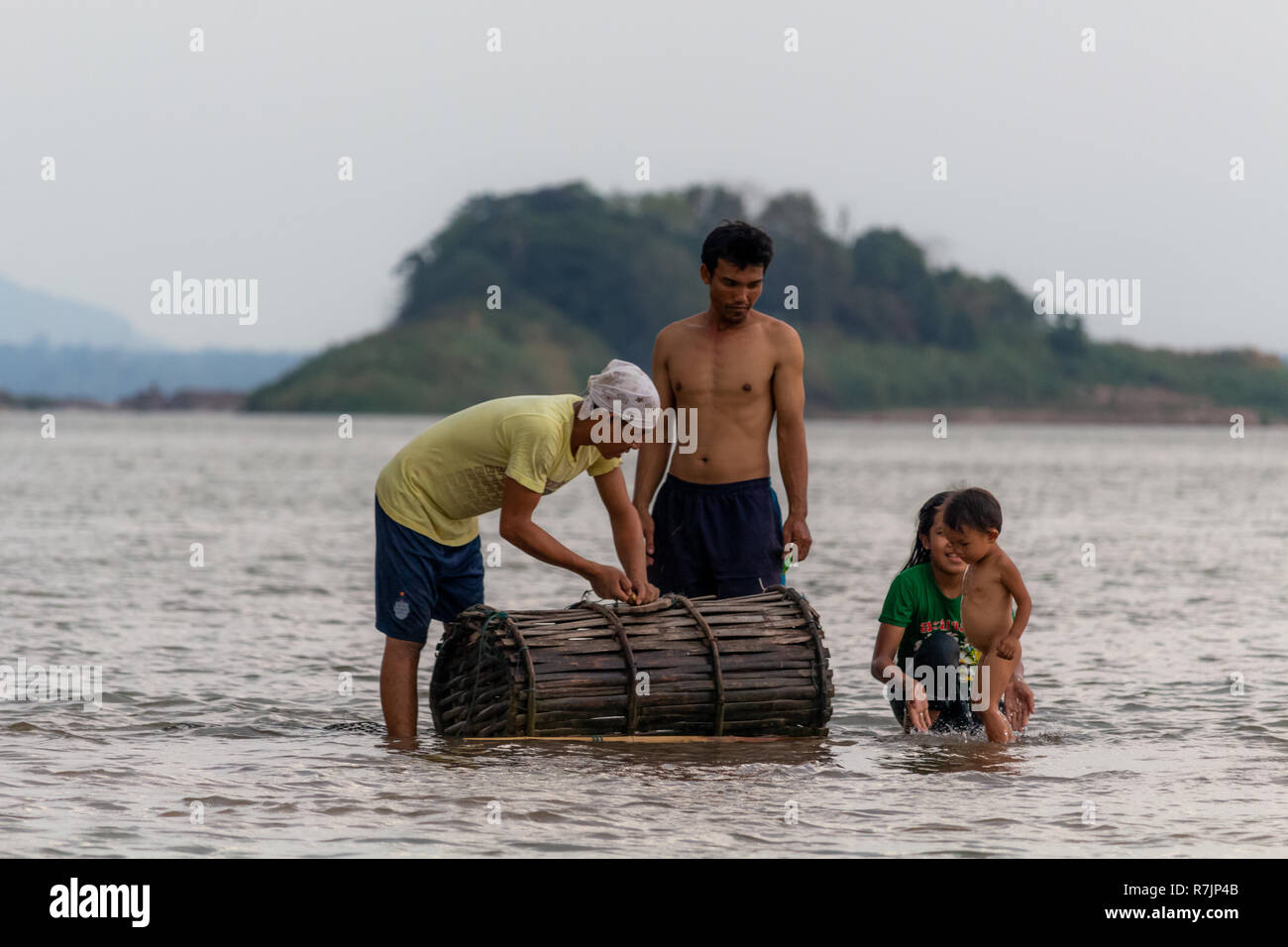 Don Daeng, Laos - April 27, 2018: Local family catching fish at dusk in ...