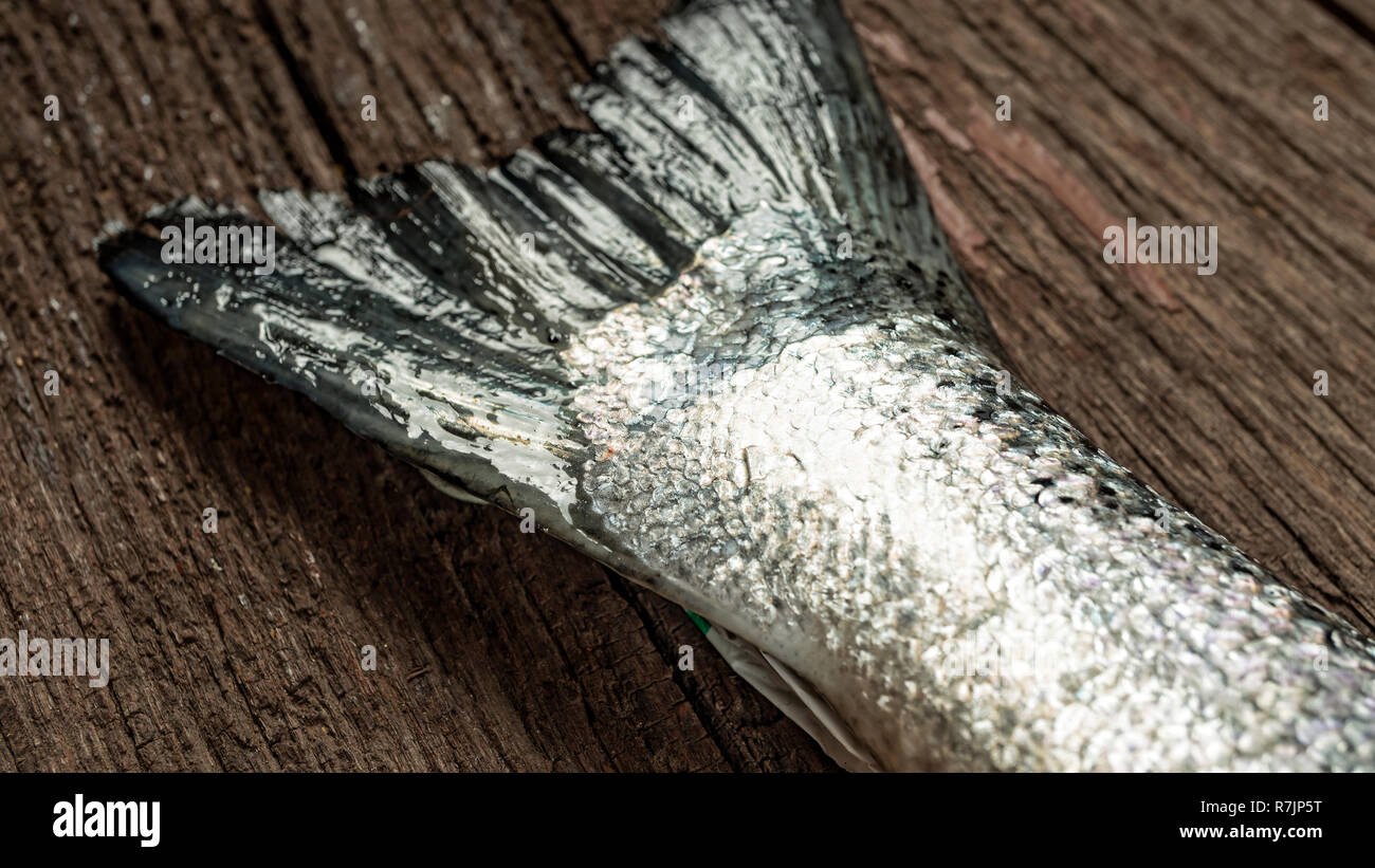 Salmon. Fresh fish tail close up on wooden background. Whole fish Fish ...