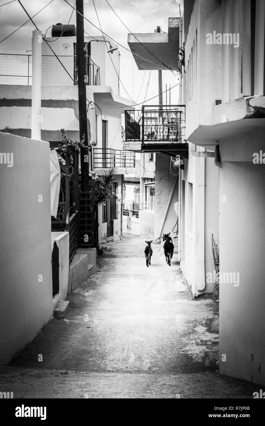 Residential buildings people two Black and White Stock Photos & Images ...