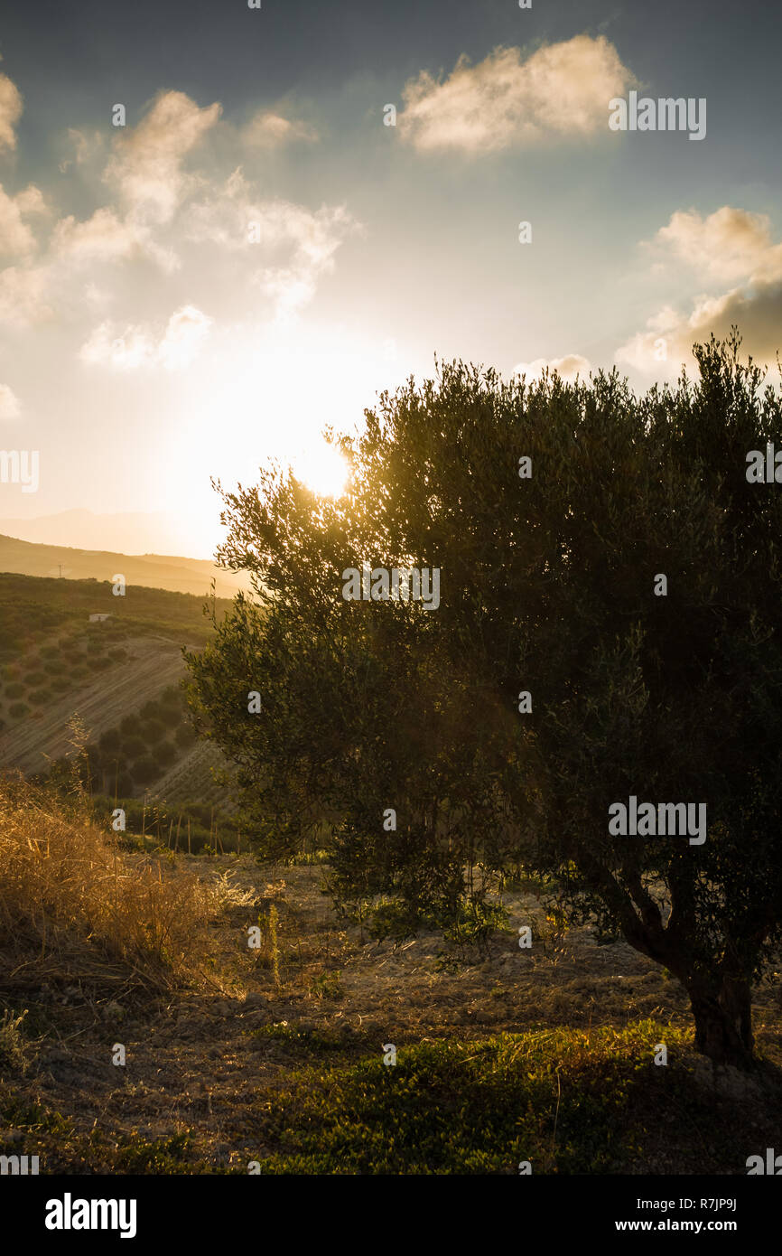Scenic landscape during sunset, Crete, Greece Stock Photo - Alamy