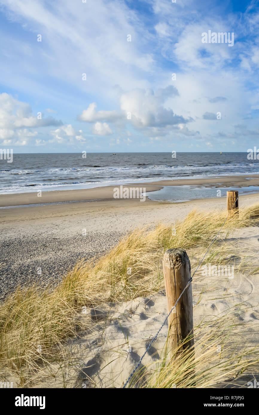 View on the beach from the sand dunes in the Netherlands Stock Photo ...