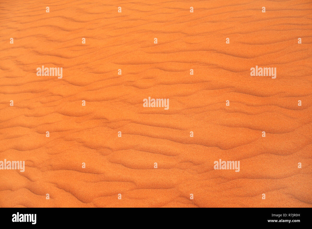 Texture of sand dune of orange color in desert, UAE Stock Photo - Alamy