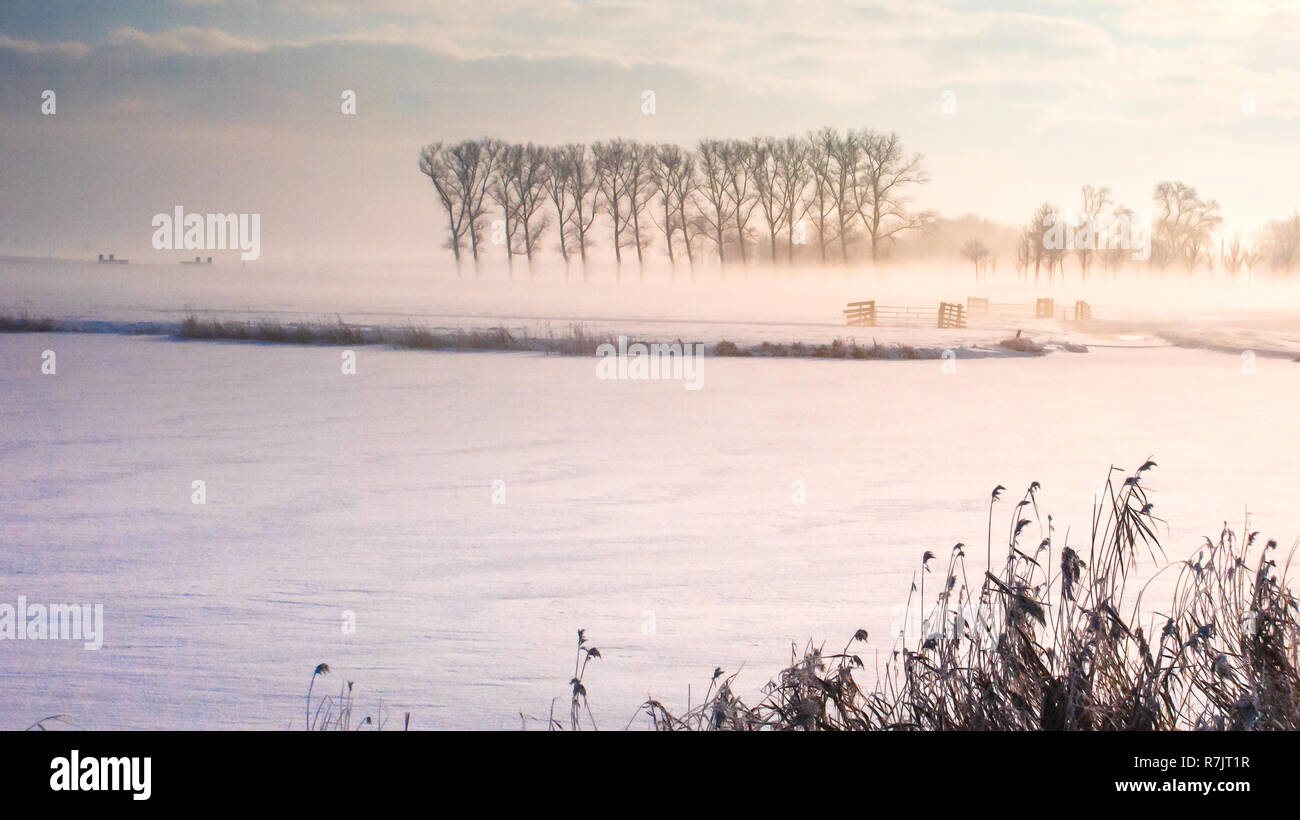 Great nice cozy winter landscape in the Netherlands along old seawall ...