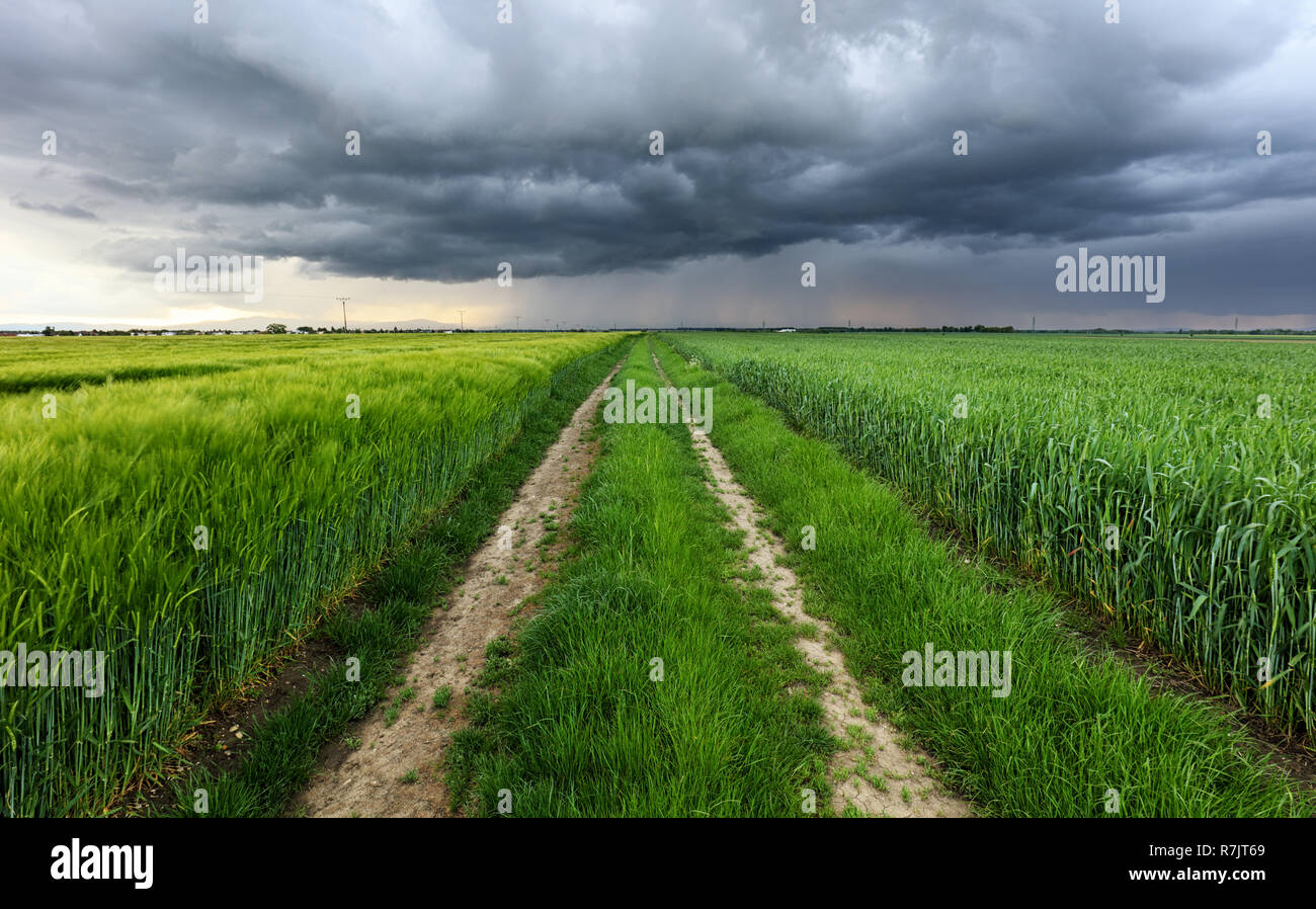 Black clouds over field landscape hi-res stock photography and images ...