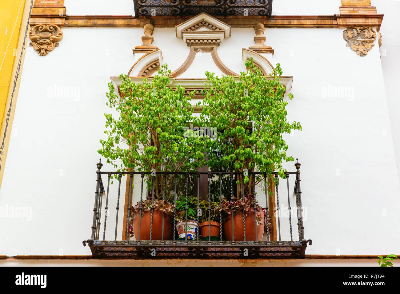 picture of a window of an old house in Seville, Spain Stock Photo - Alamy