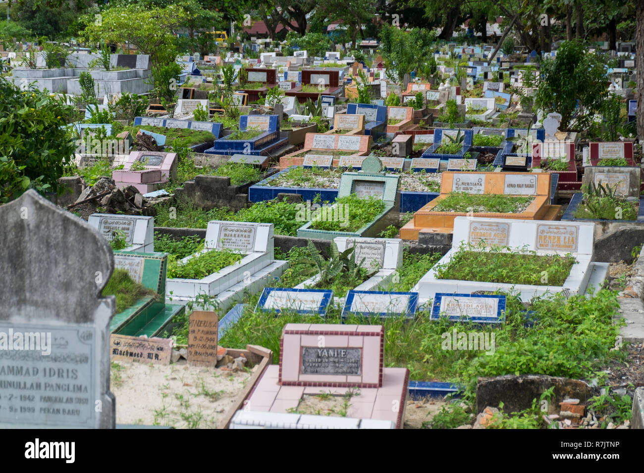 A Muslim graveyard, cemetery in Pekanbaru, Indonesia. The headstones ...