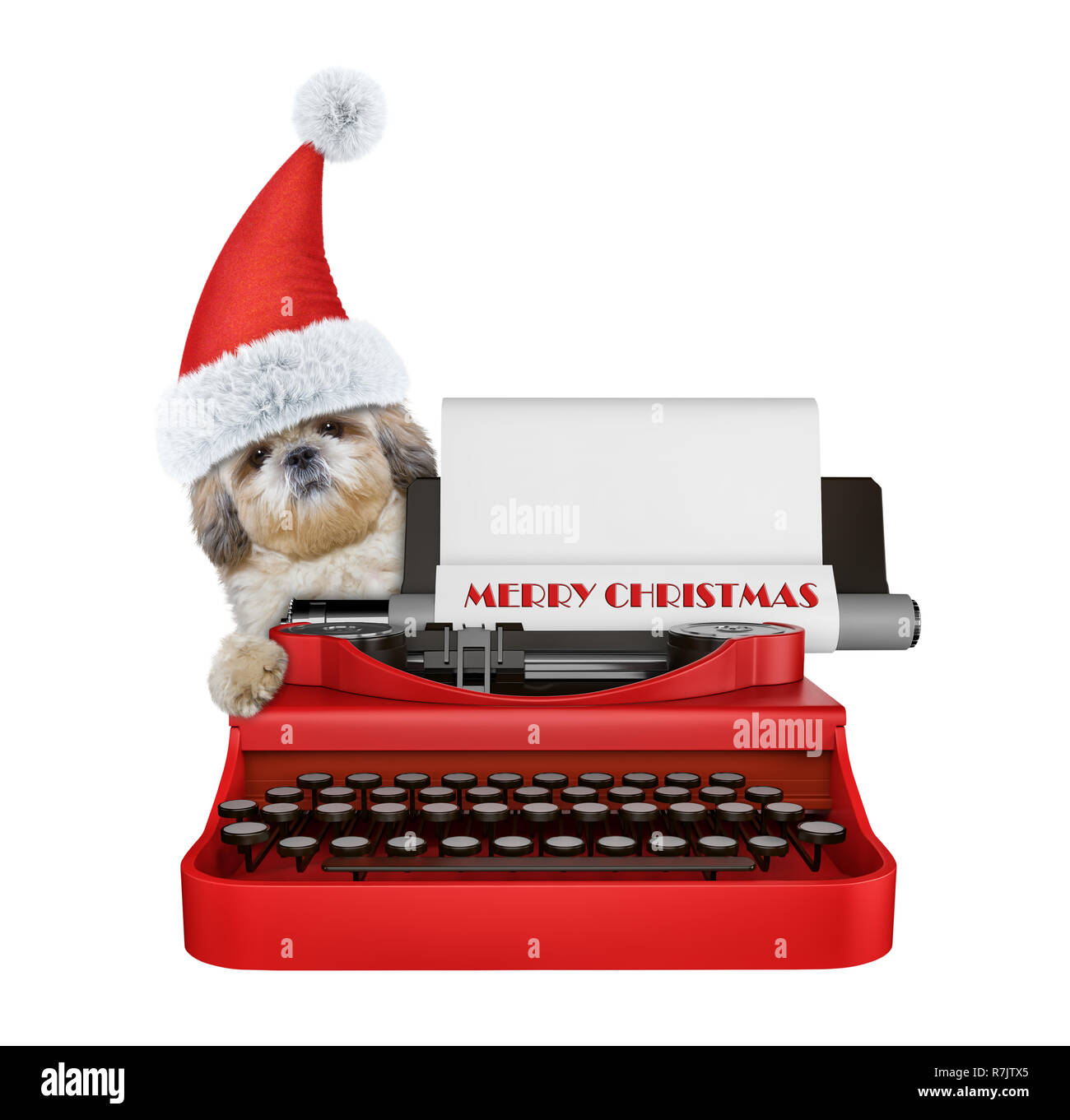Cute santa shitzu dog is typing on a typewriter keyboard. Isolated on ...